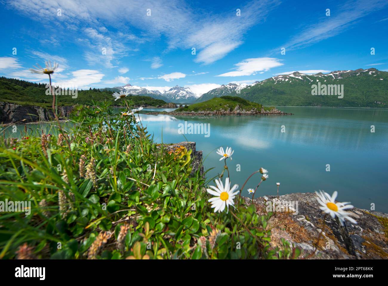 Garden of Eden with view over Kukak Bay to Kukak Volcano, Mount Steller ...