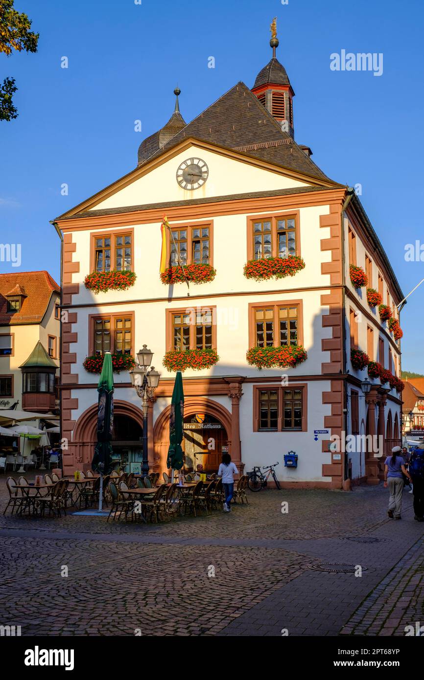 Town Hall on the Market Square, Lohr am Main, Spessart, Lower Franconia ...