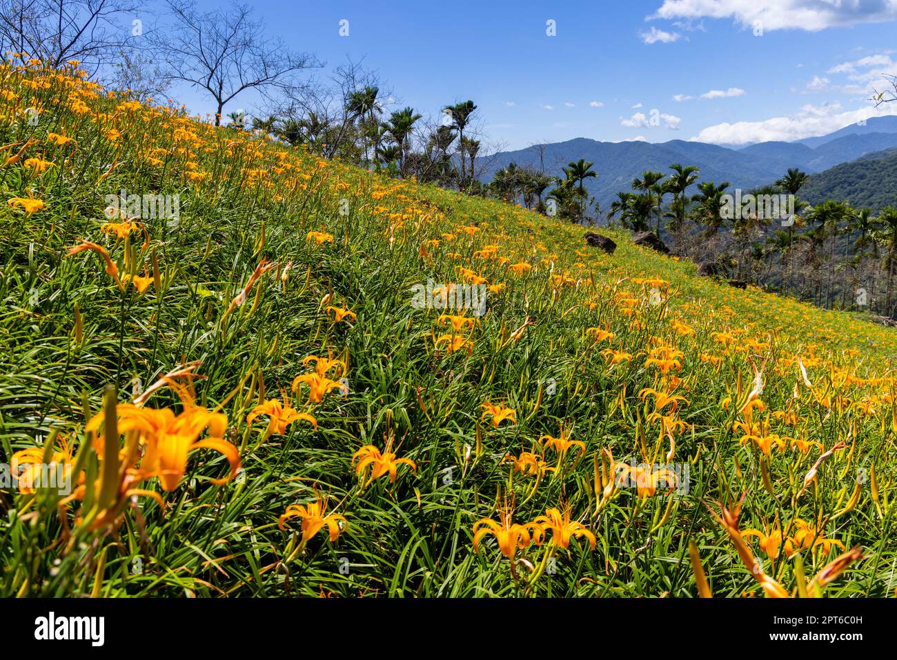 Taimali mountain hi-res stock photography and images - Alamy