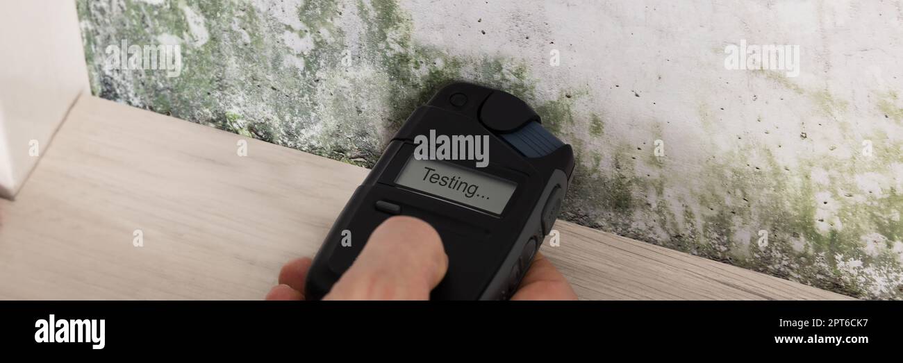 Mold Tester And Spores Test In House. Measure Wet Wall Stock Photo - Alamy