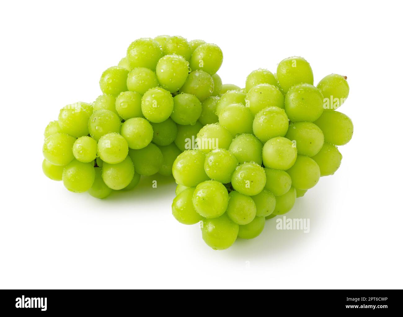 Shine Muscat grapes with water drops on a white background. White ...