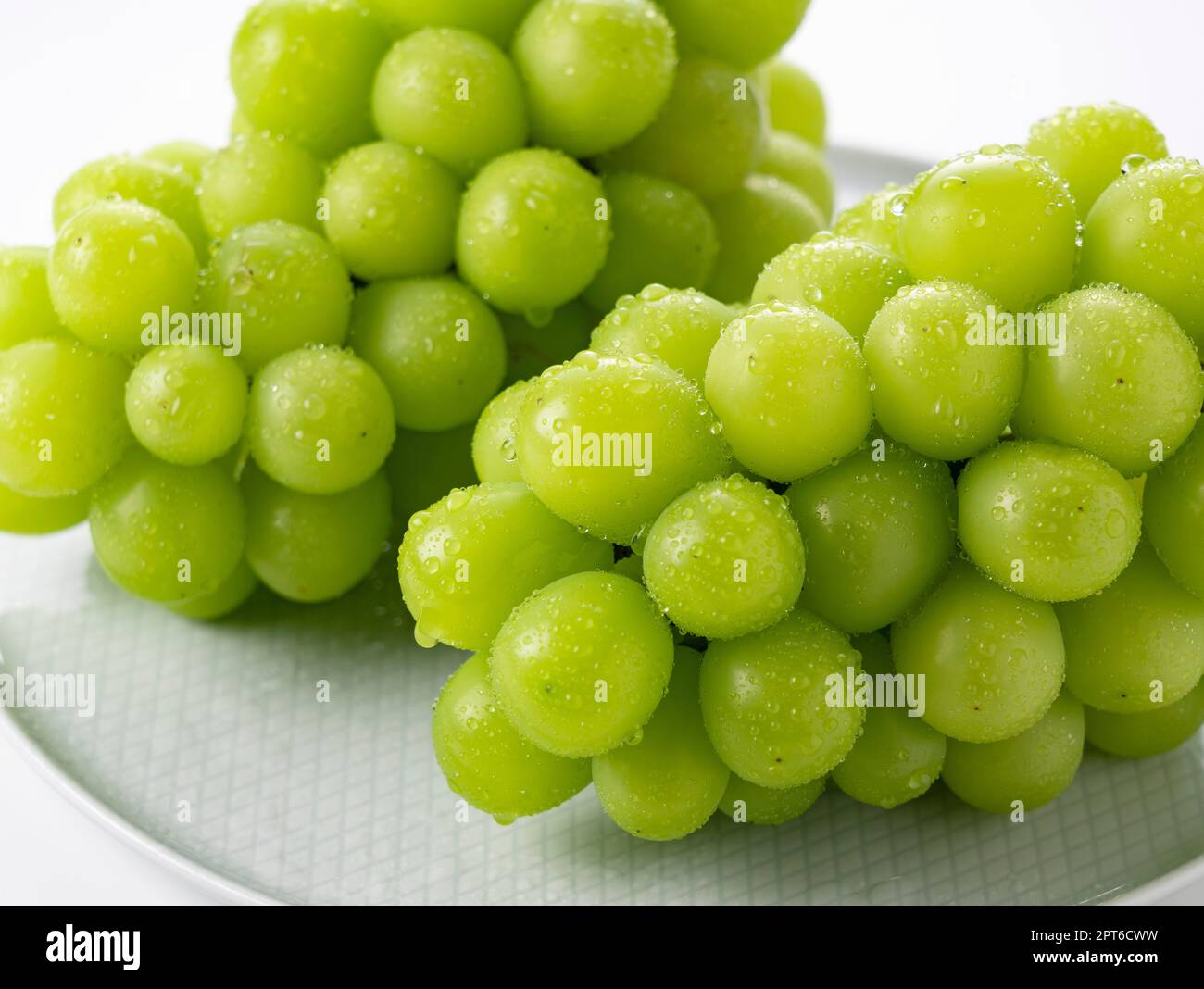 Shine Muscat with water droplets placed on a plate against a white ...