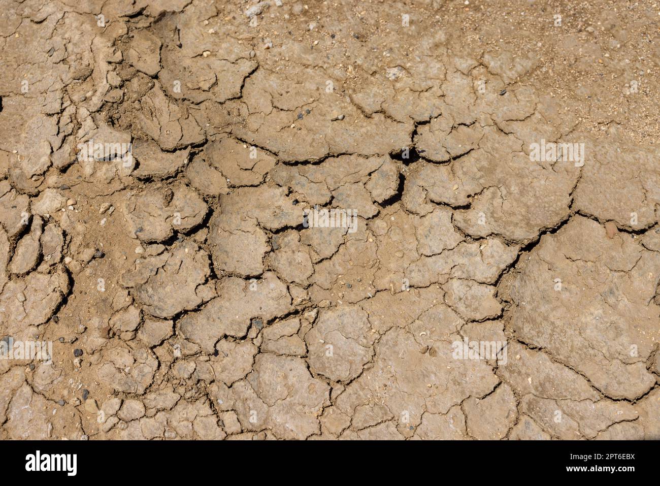 Crack mud ground pattern texture Stock Photo - Alamy