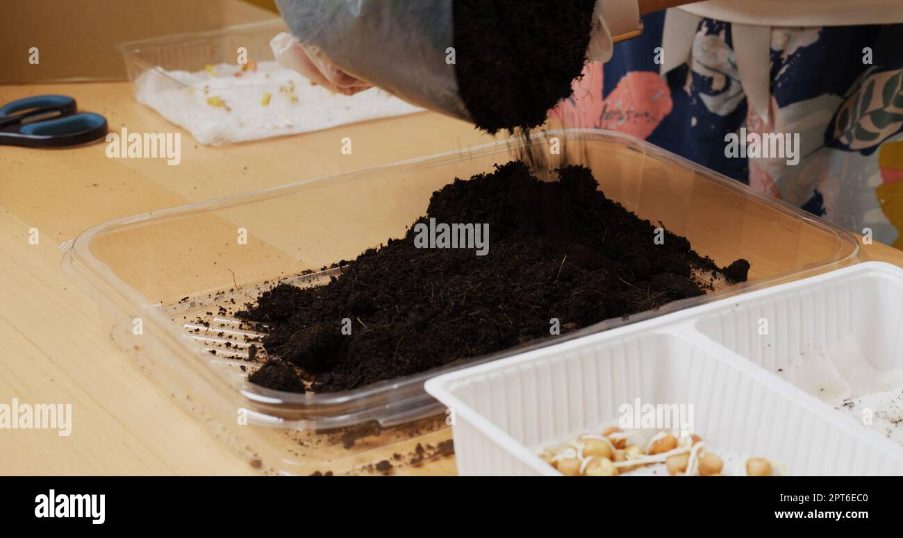 Put soil into the plastic container for plant seeding Stock Photo - Alamy