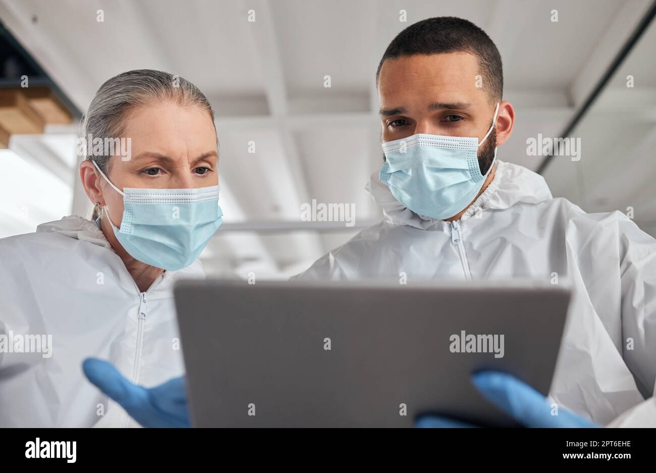 Scientist team, covid laboratory research and tablet information, data ...