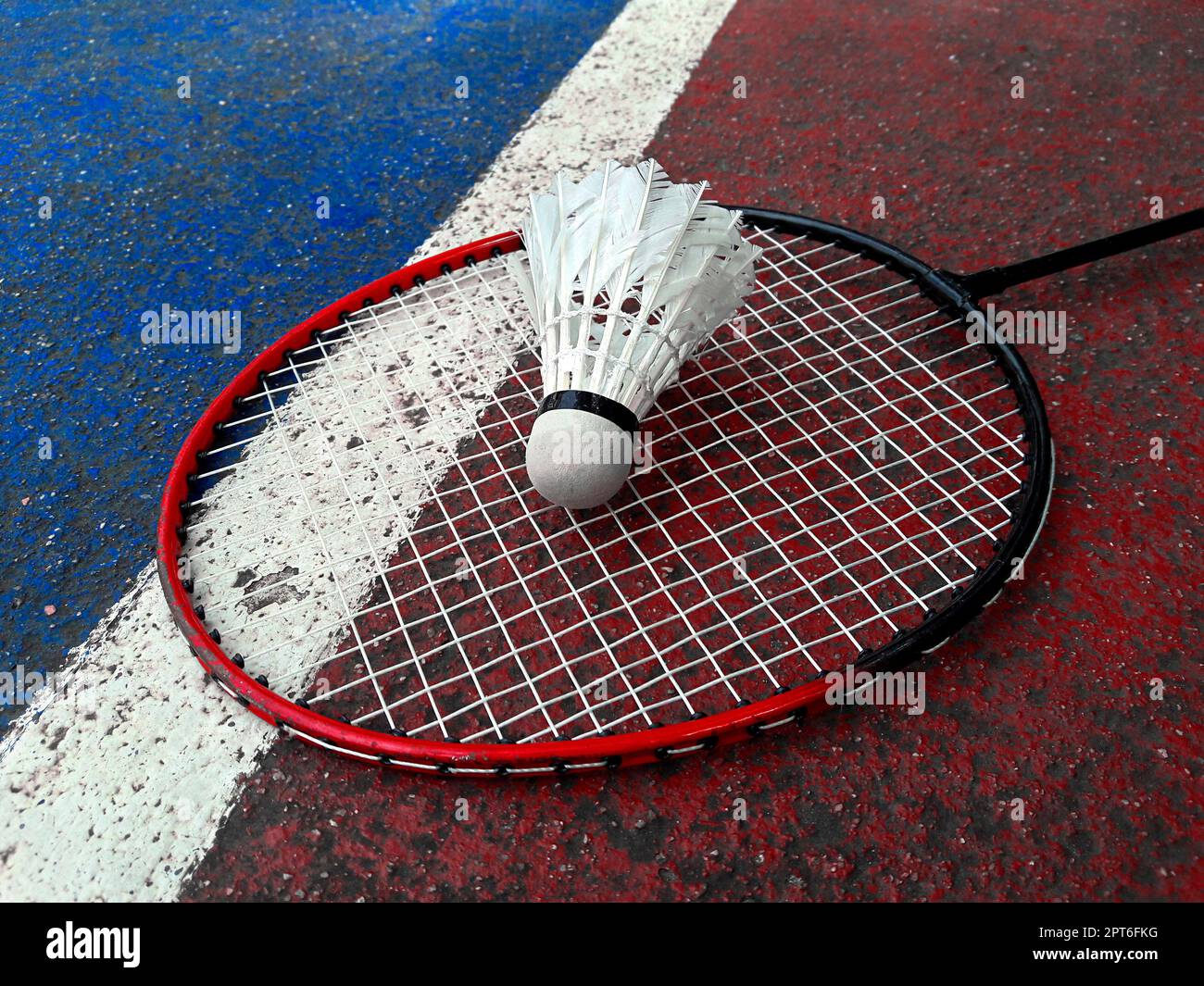 White badminton shuttlecock on floor racket on the badminton courts ...