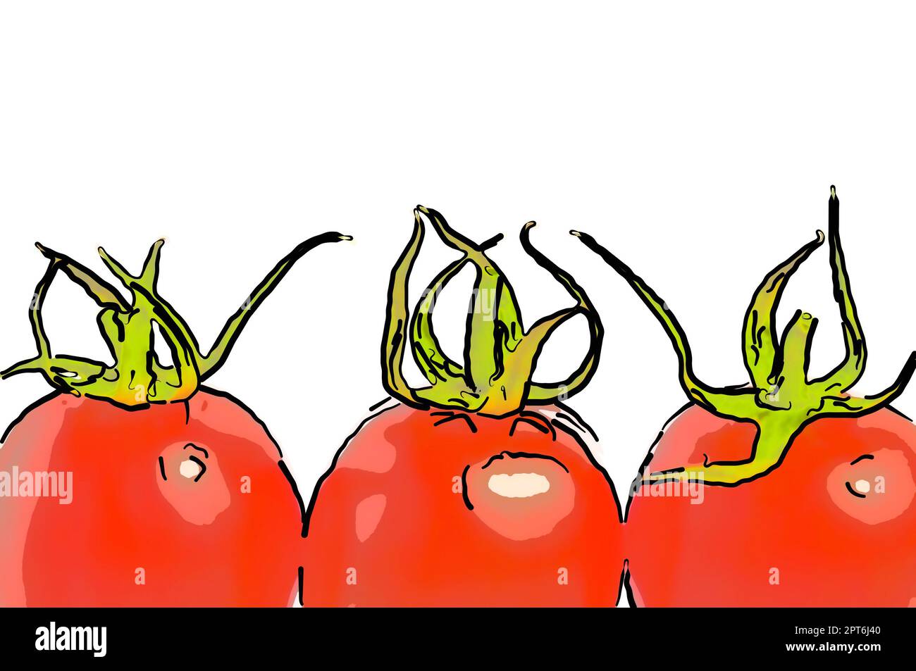 Illustration of three fresh tomatoes isolated on white background Stock ...