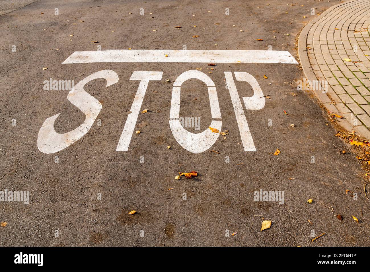 STOP sign and stop line are marked on the asphalt of the roadway Stock ...
