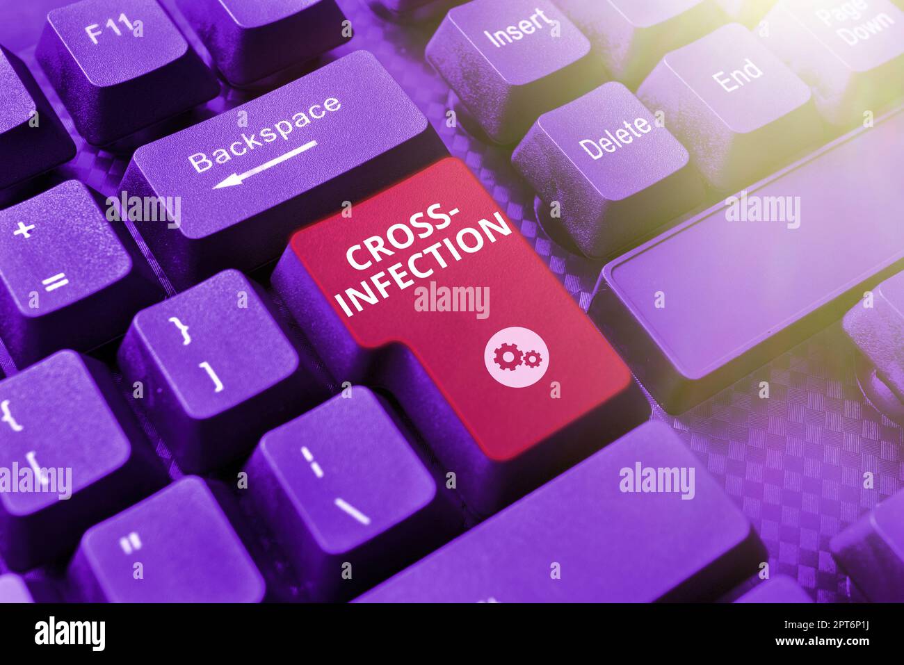 Hand writing sign Cross Infection, Business showcase disease-causing ...