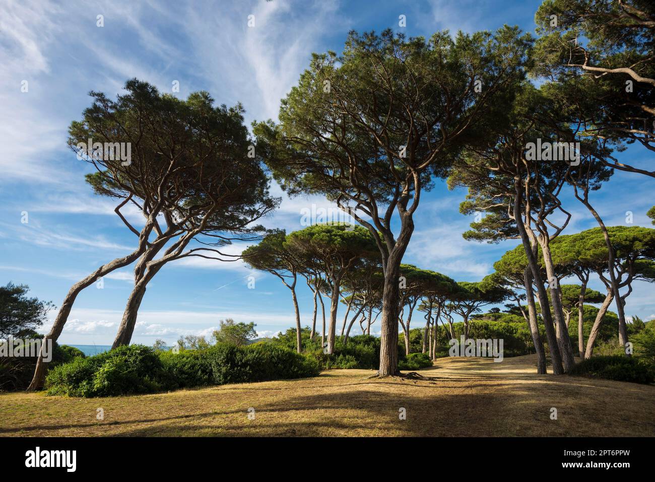 Spiaggia di baratti hi-res stock photography and images - Alamy