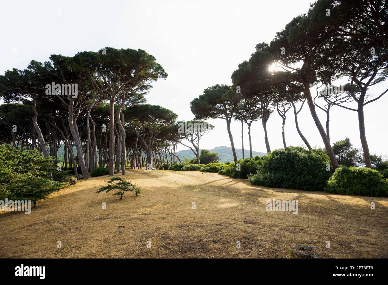 Spiaggia di baratti hi-res stock photography and images - Alamy
