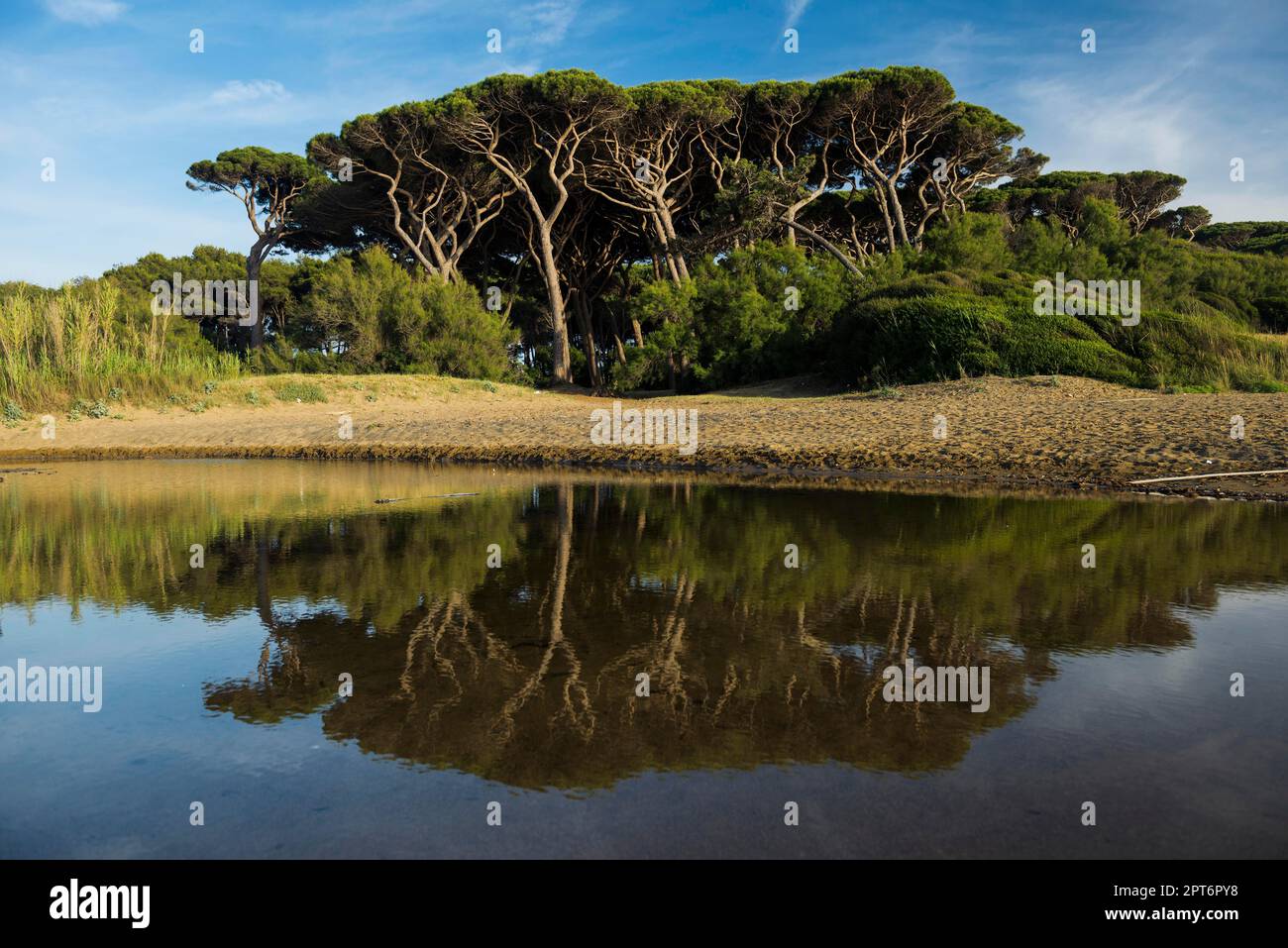 Spiaggia di baratti hi-res stock photography and images - Alamy