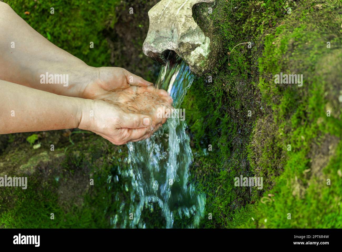 Woman catching water with her hands in a spring of crystal clear water ...