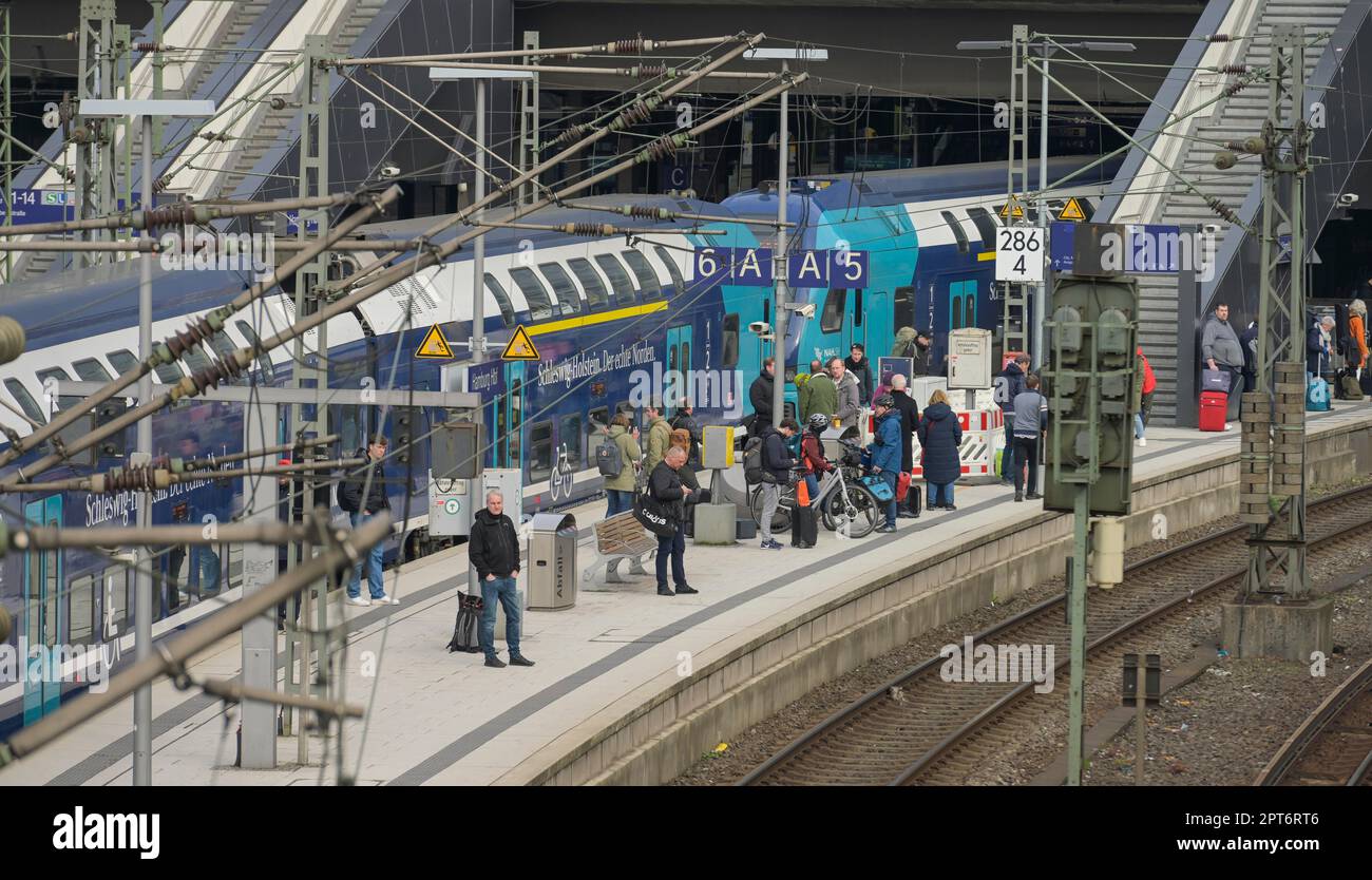 Regional train, passengers, platform, main station, Hamburg, Germany ...
