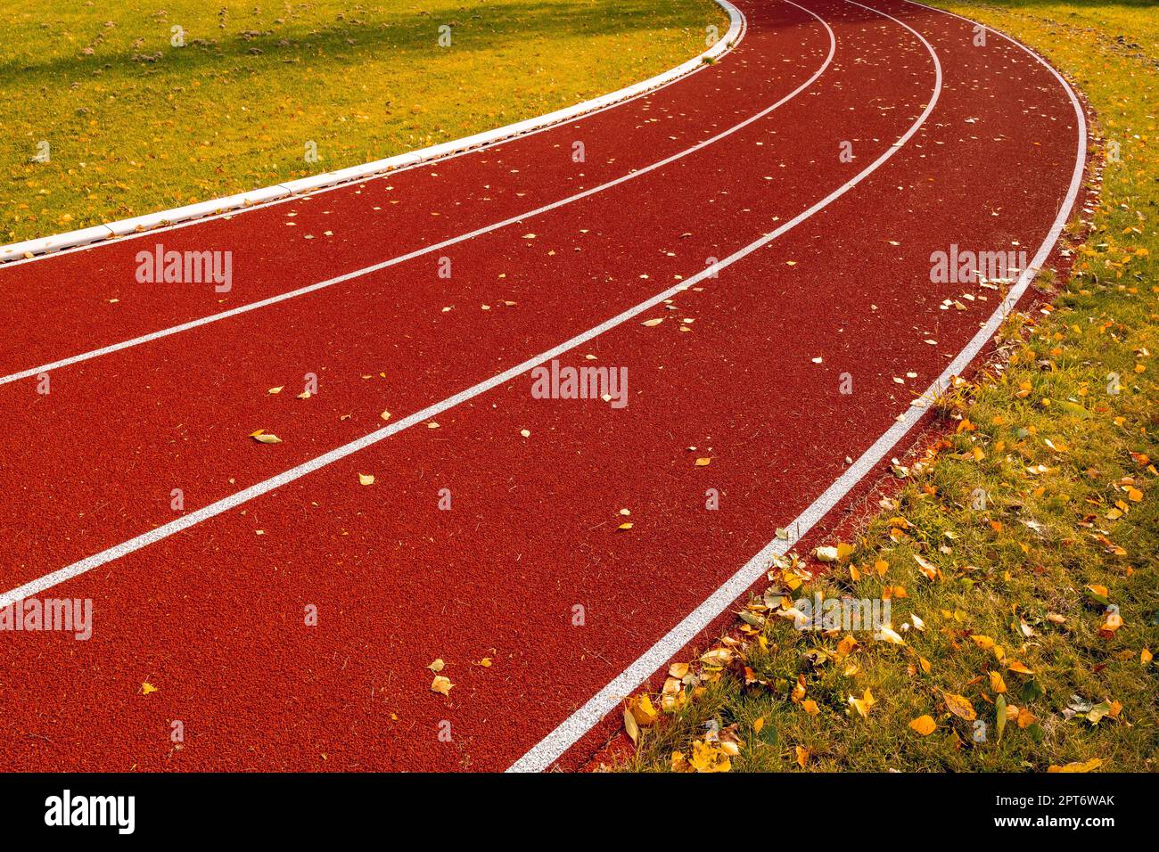 Red rubberized running track with curved white lines during autumn ...