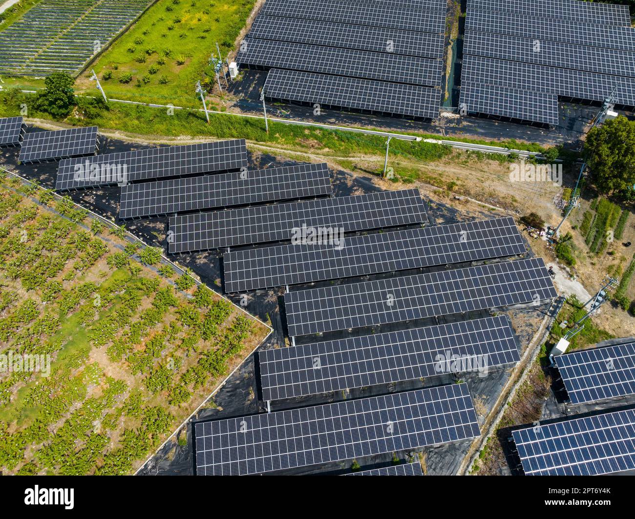 Top down view of solar panel in the meadow field Stock Photo - Alamy