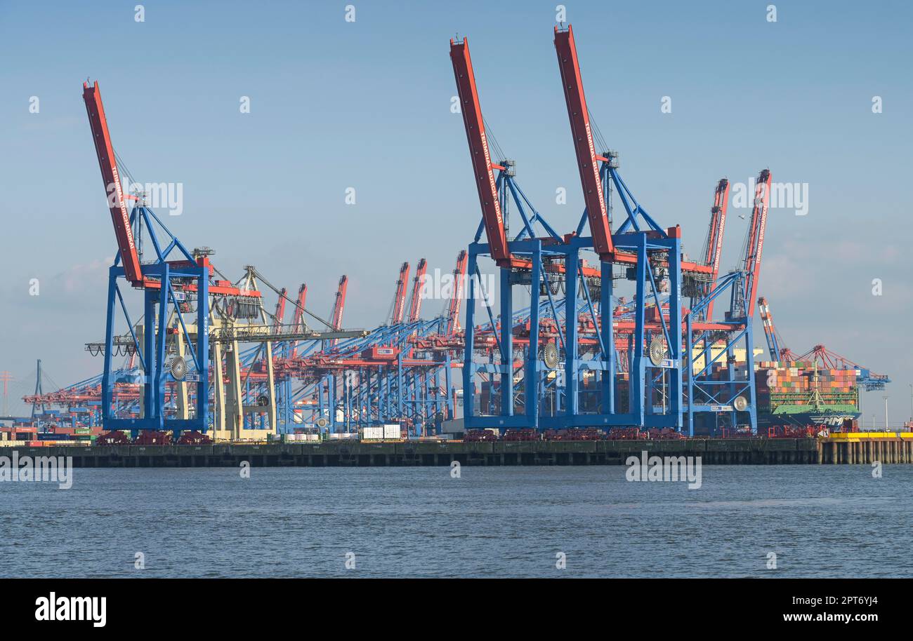 Container terminal, cranes, Burchardkai, Elbe, Hamburg Stock Photo - Alamy
