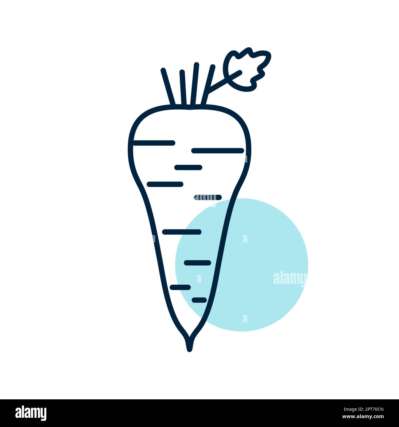Parsnip root isolated vector icon. Vegetable sign. Graph symbol for ...