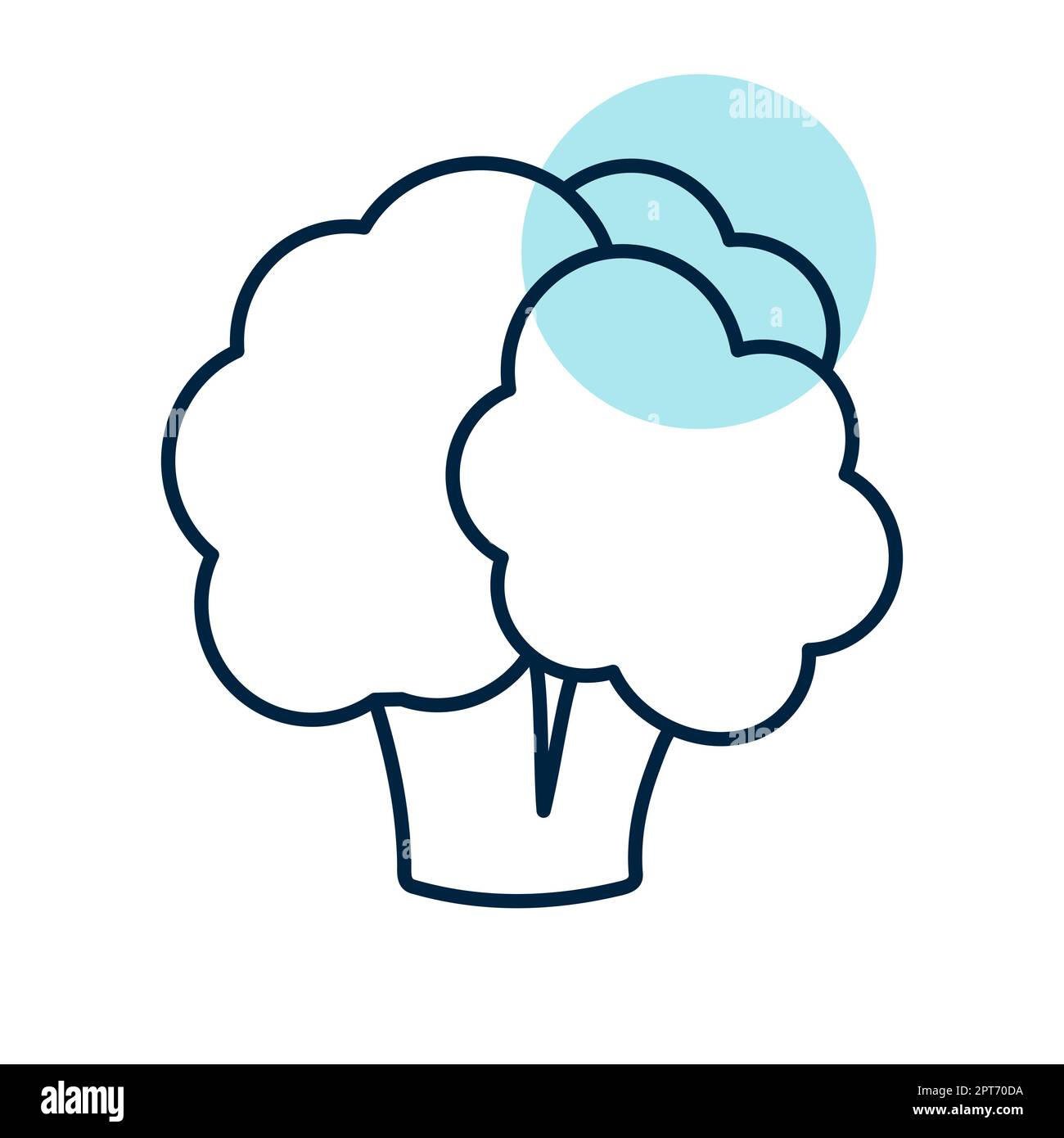 Cauliflower isolated vector icon. Vegetable sign. Graph symbol for food ...