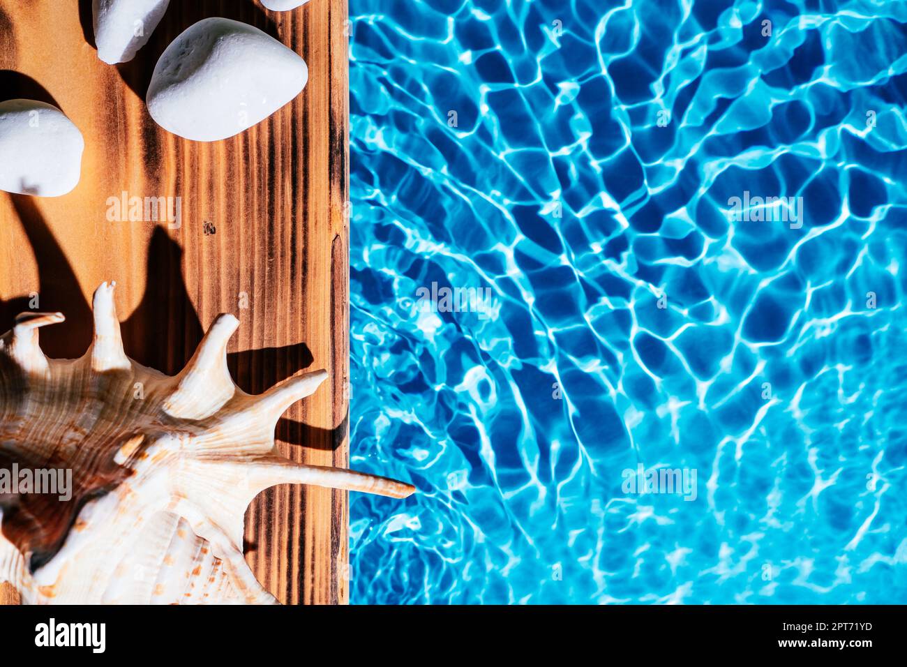 Conch pool hi-res stock photography and images - Alamy