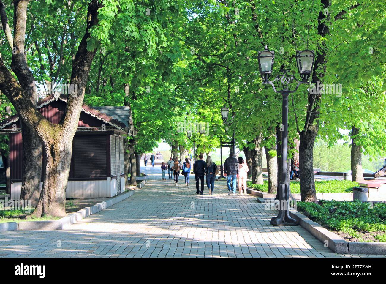 Beautiful city park with promenade path benches and big green trees ...