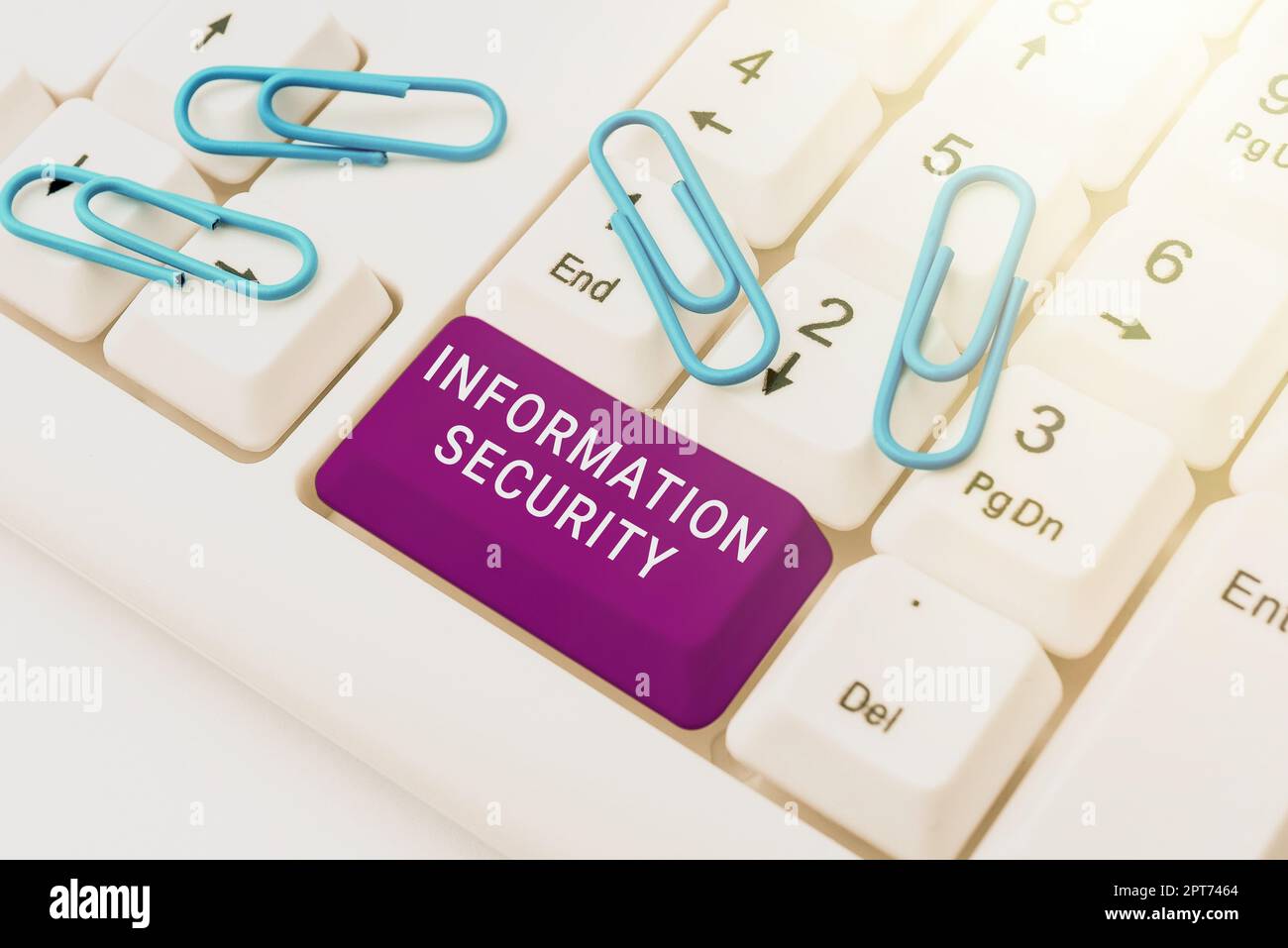 Conceptual display Information Security, Business approach INFOSEC Preventing Unauthorized ...