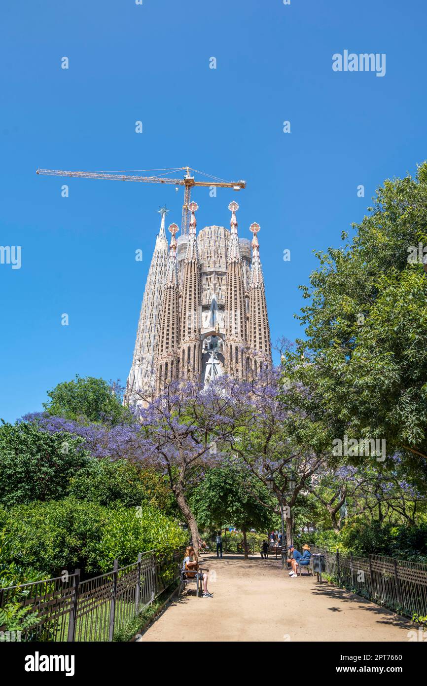 Exterior view with blossoming spring tree in the park, Sagrada Familia ...