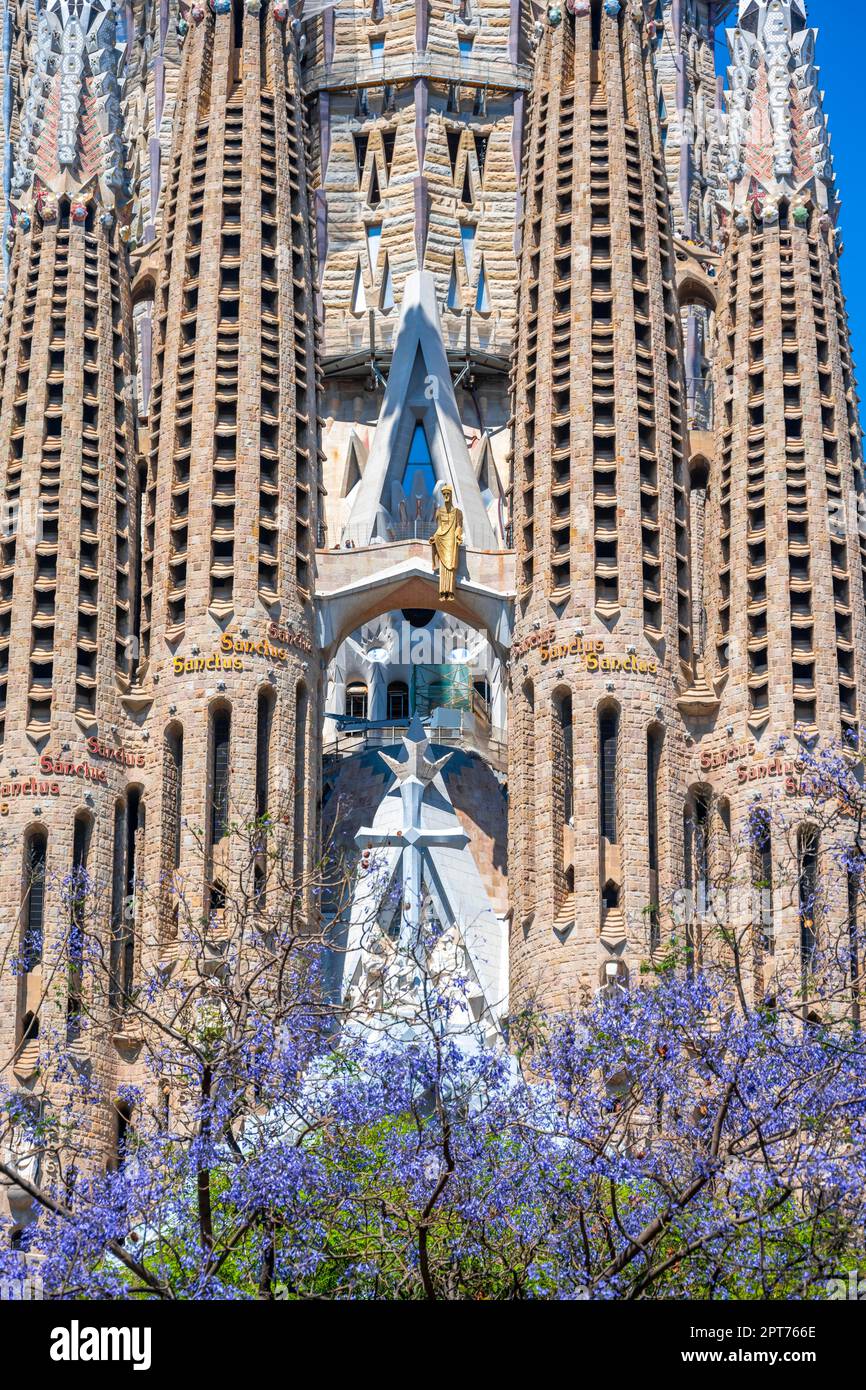 Exterior view with blossoming spring tree, Sagrada Familia, Expiatory ...