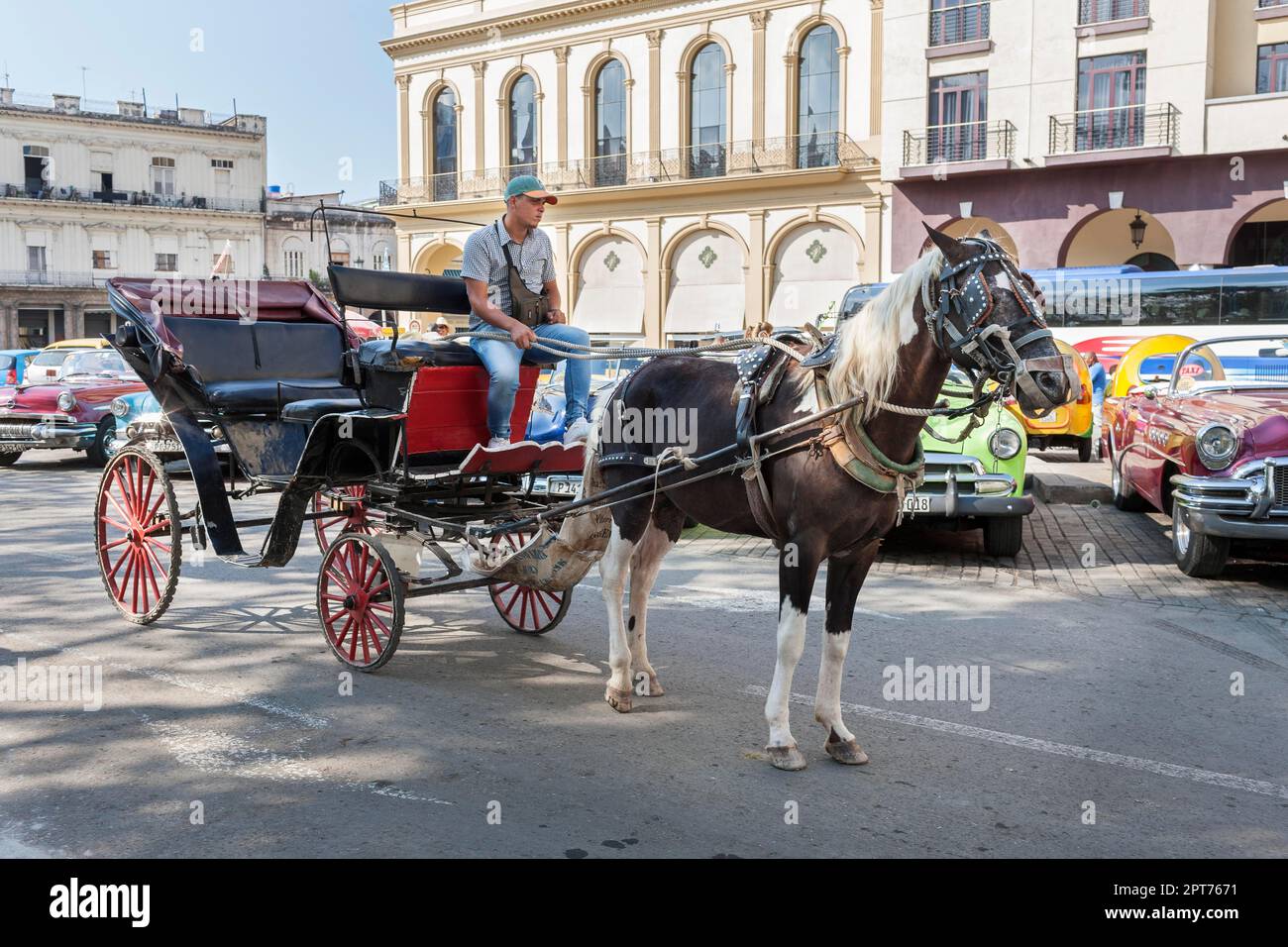 Horse-drawn carriage, Havana, Cuba Stock Photo - Alamy