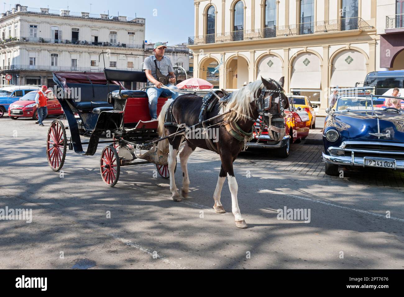 Horse-drawn carriage, Havana, Cuba Stock Photo - Alamy
