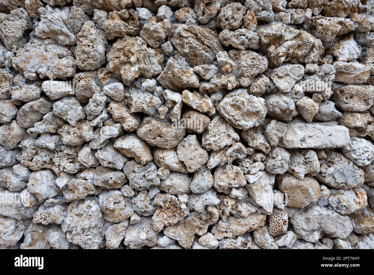 Coral stone wall hi-res stock photography and images - Alamy