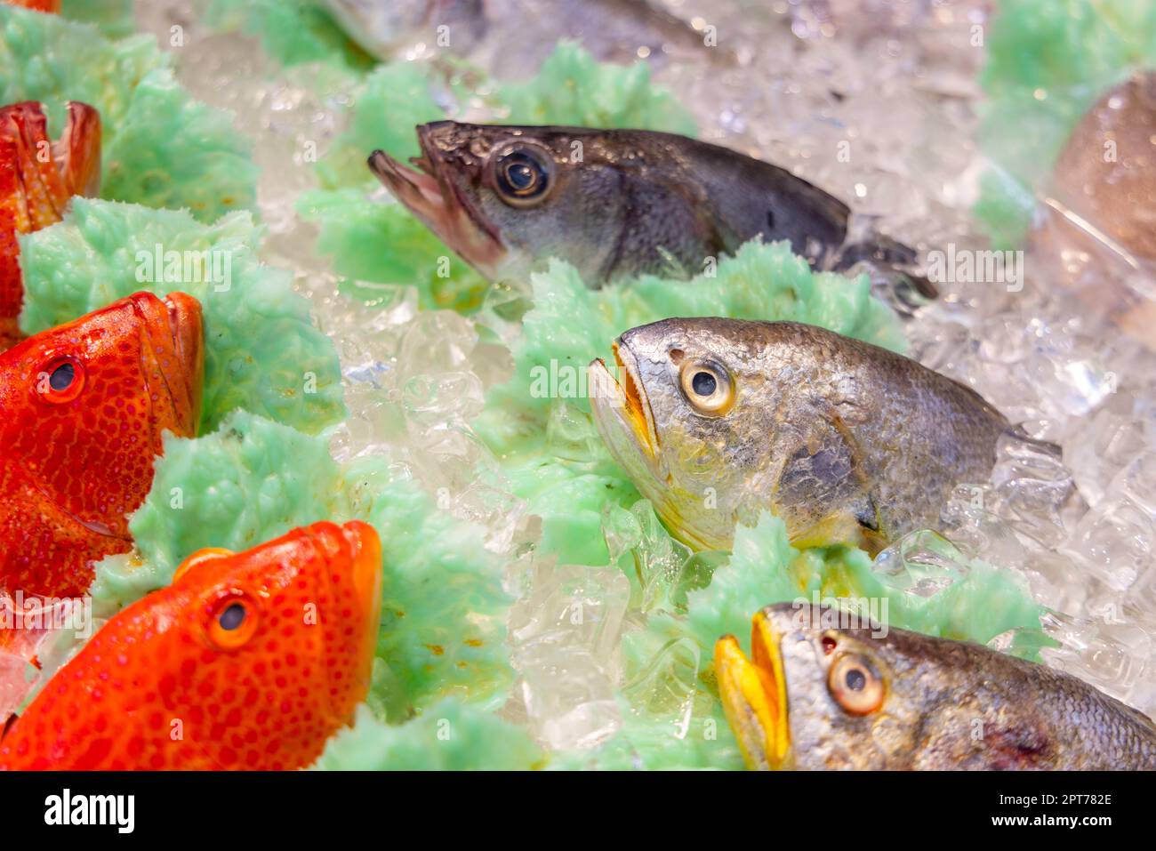 Fish selling in wet market Stock Photo - Alamy