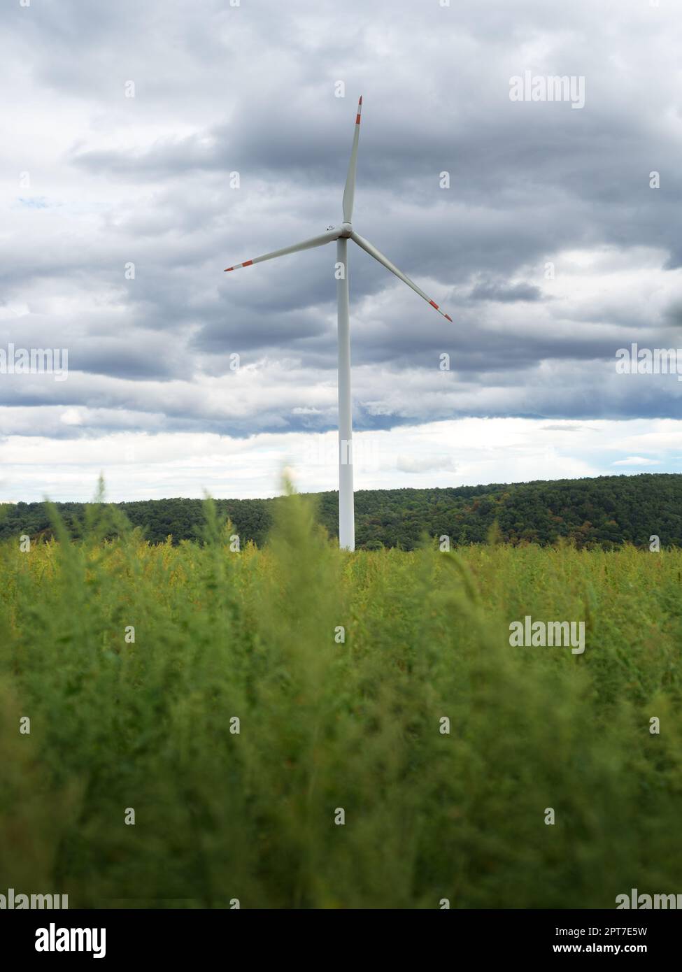 clean electricity producing wind turbines built on a windy mountain ...