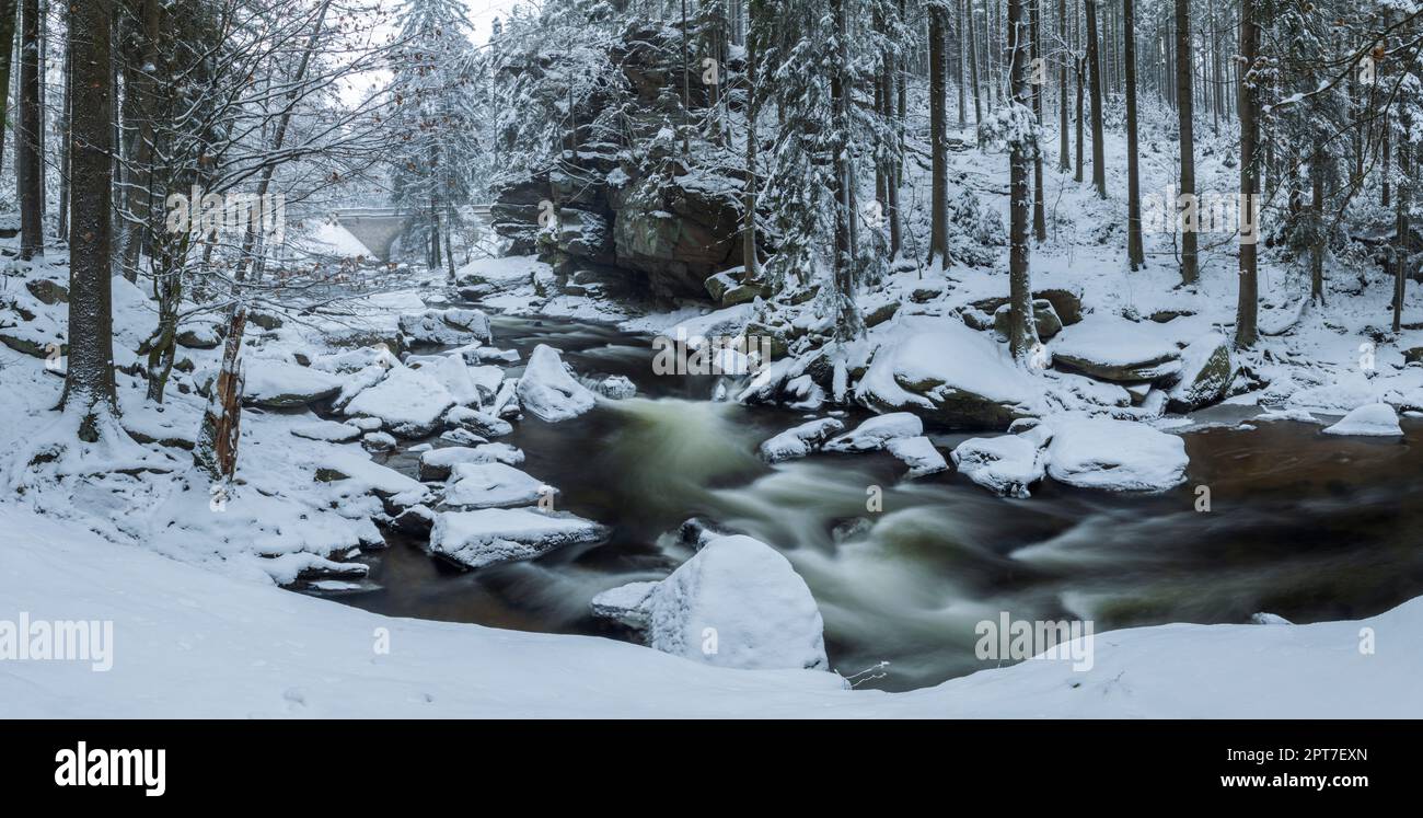 Divoka Orlice river in Zemska brana, Orlicke mountains, Eastern Bohemia ...