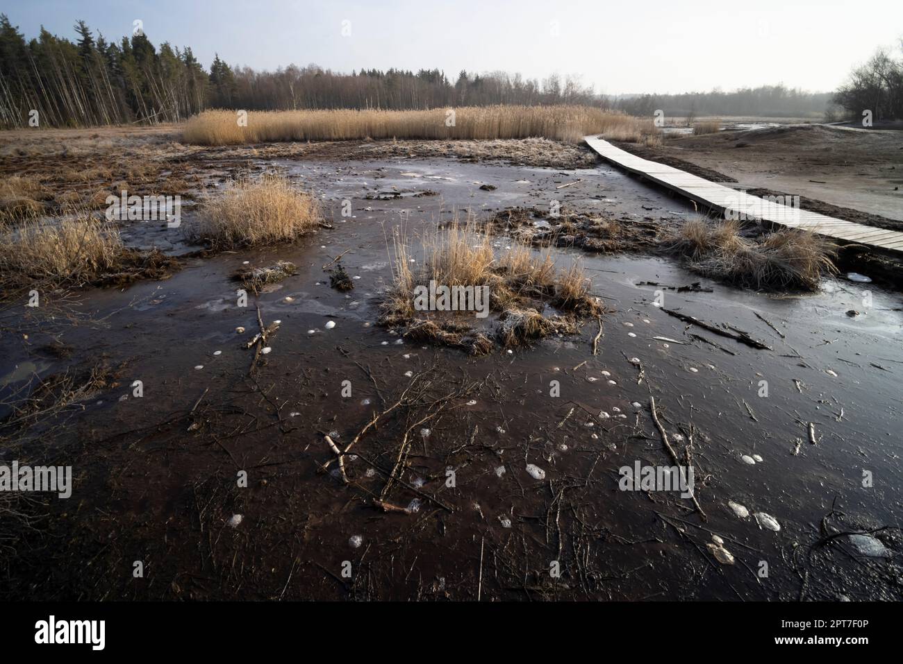 Nature reserve Soos, Western Bohemia, Czech Republic Stock Photo - Alamy