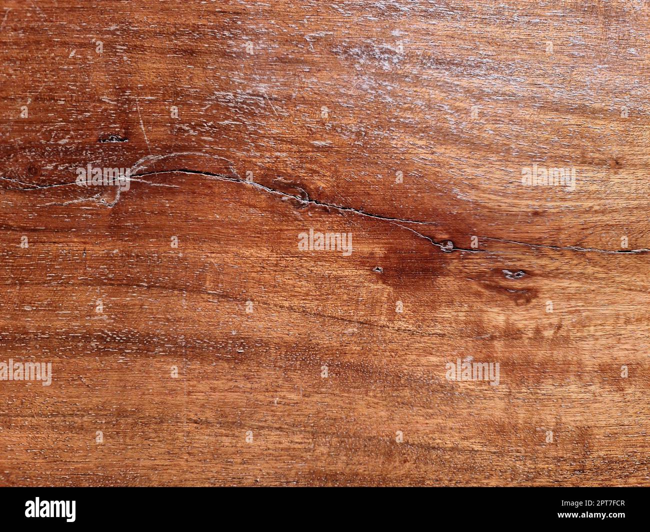 Detailed close up view on different wood surfaces showing planks logs ...