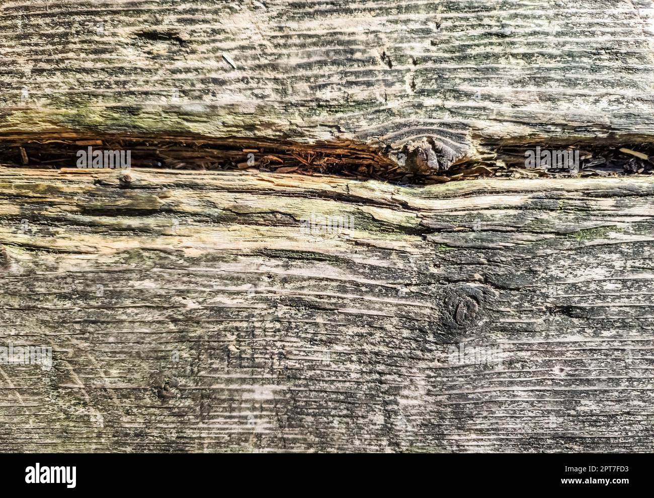 Detailed close up view on different wood surfaces showing planks logs ...