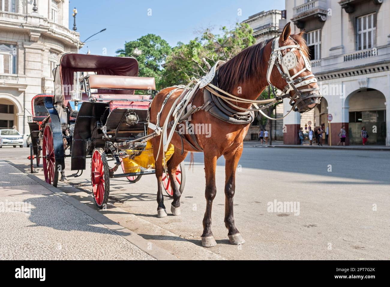 Horse and hack carriage hi-res stock photography and images - Alamy