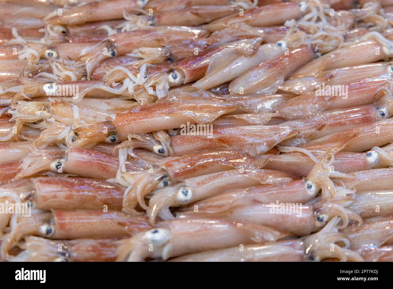 Selling raw squid in wet market Stock Photo - Alamy