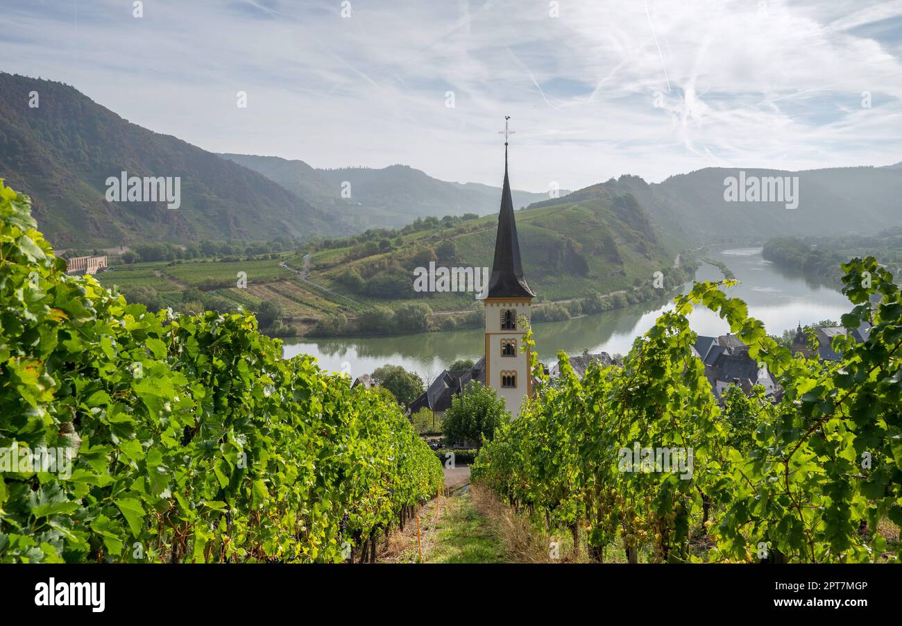 Panoramic image of Bremm with loop of Moselle river, Germany Stock ...