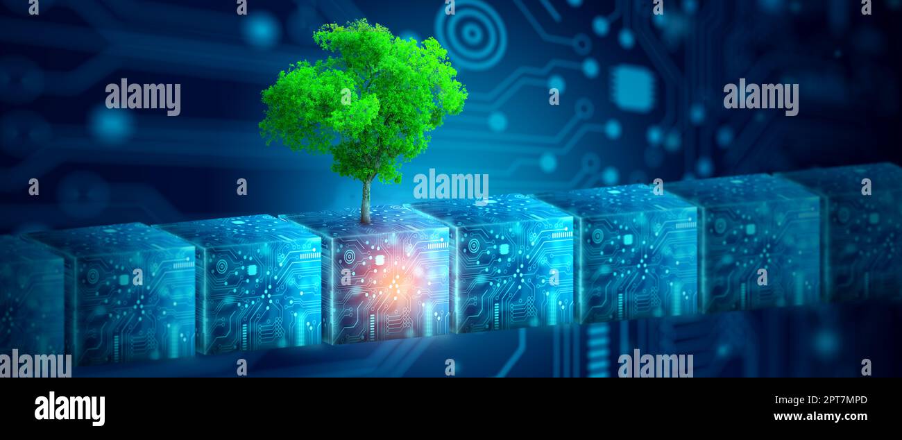 Digital cube with tree against nature with digital convergence and ...