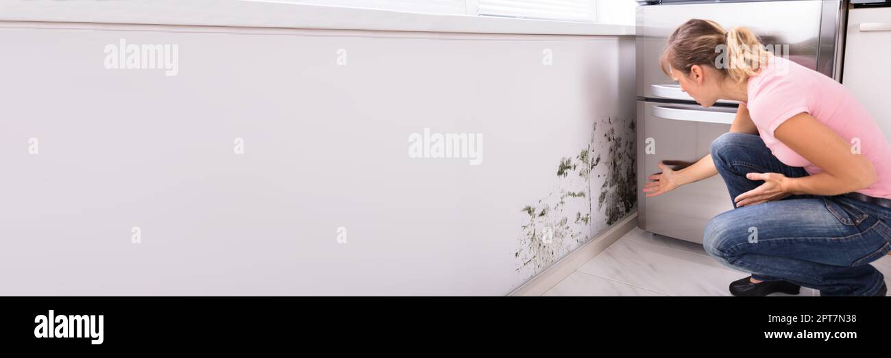 Mould damage inside of home hi-res stock photography and images - Alamy