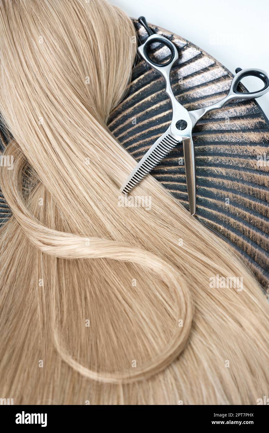 A strand of blond hair with scissors on a white background. Close-up ...