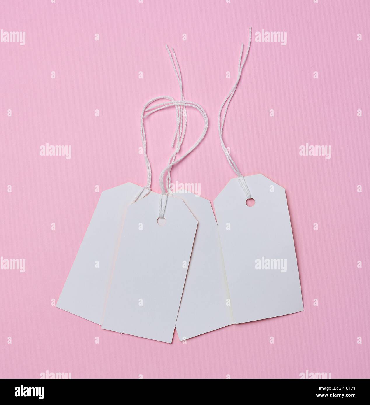 Empty white cardboard tag on a white rope, pink background. Price tag ...