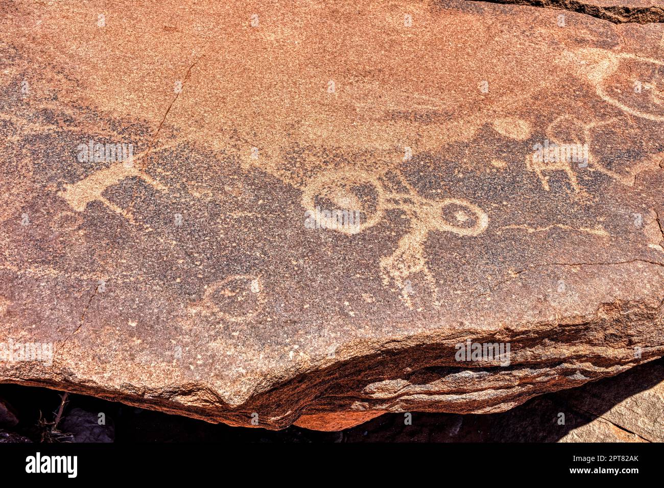 Rock engravings, prehistory, stone carvings, archaeology, Twyfelfontein ...