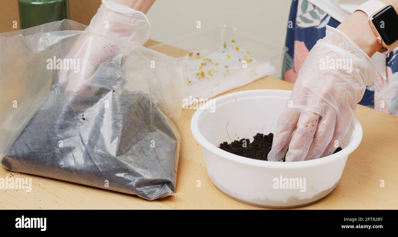 Put soil into the plastic container for plant seeding Stock Photo - Alamy