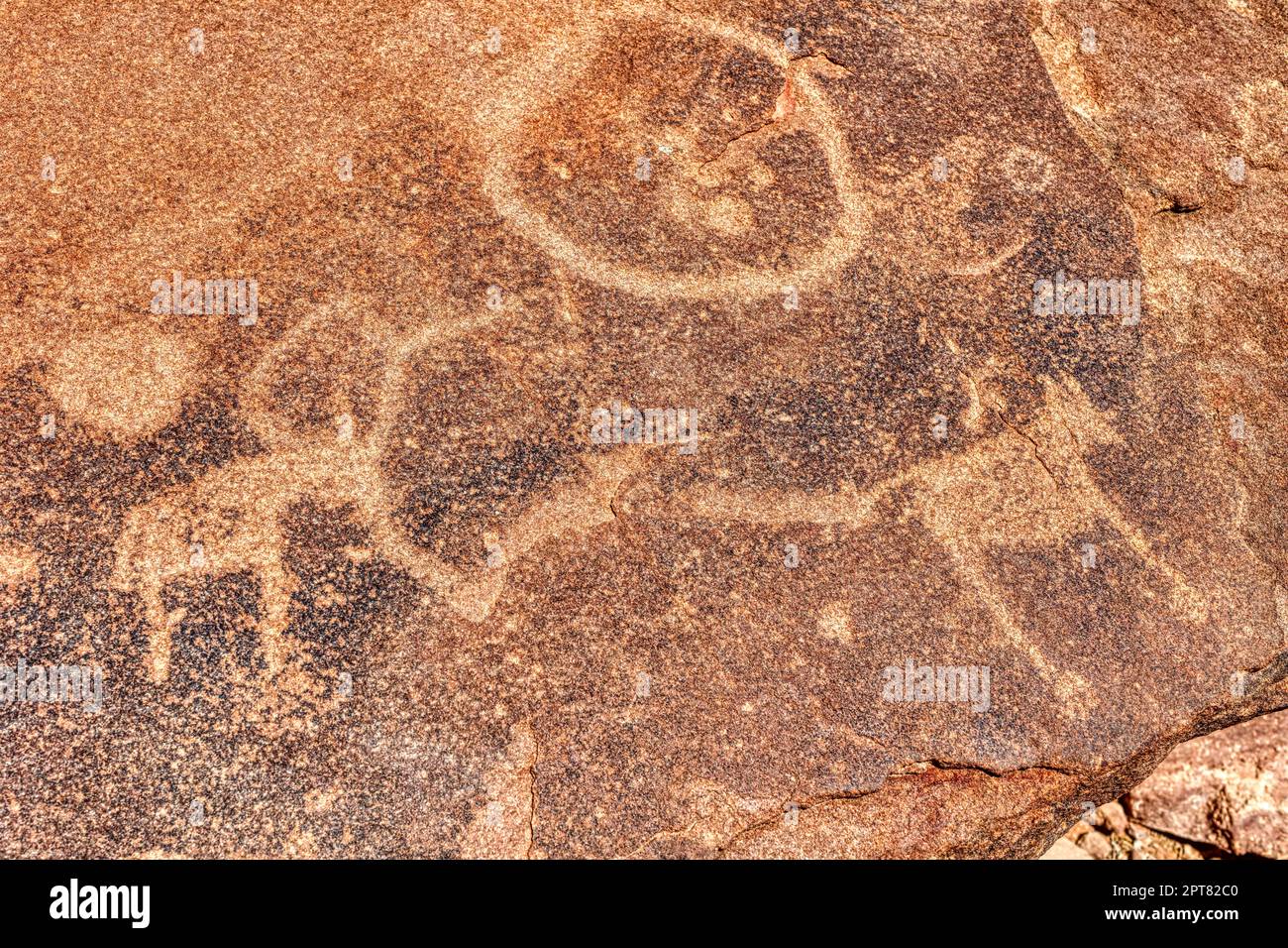 Rock engravings, prehistory, stone carvings, archaeology, Twyfelfontein ...