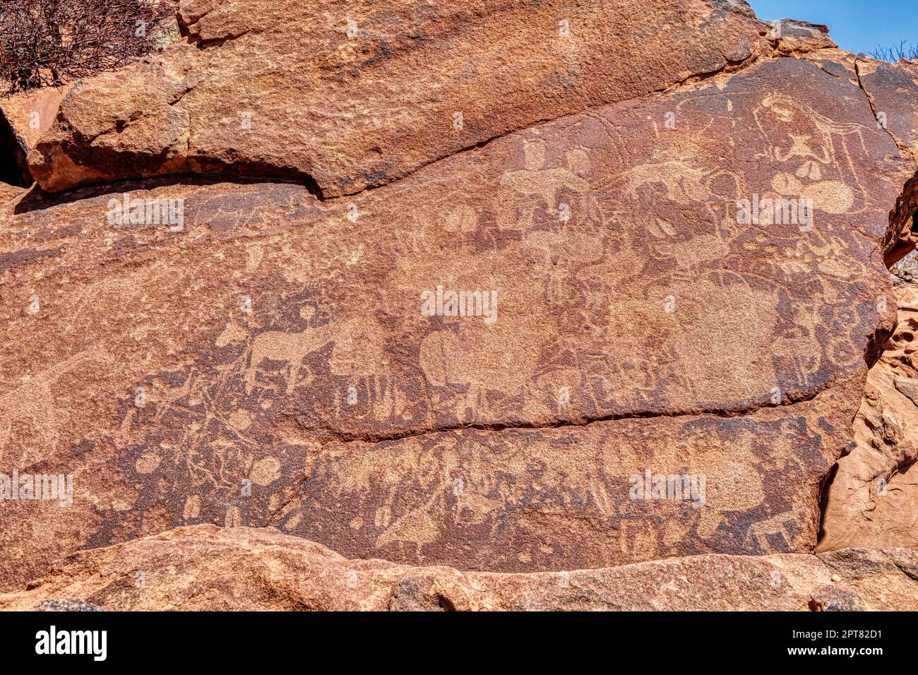 Rock engravings, prehistory, stone carvings, archaeology, Twyfelfontein ...