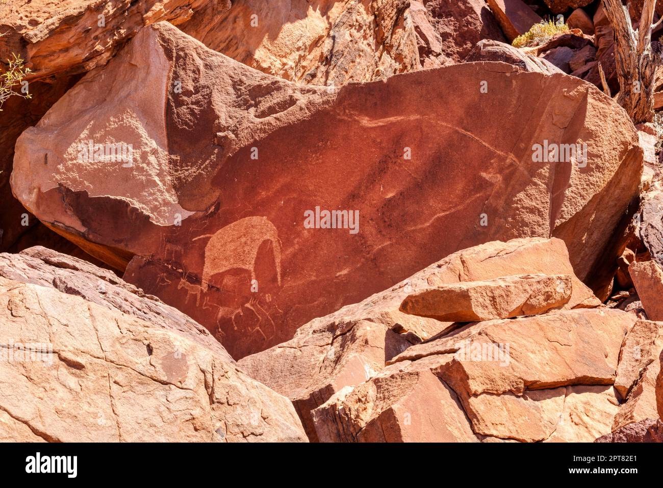 Rock engravings, prehistory, stone carvings, archaeology, Twyfelfontein ...