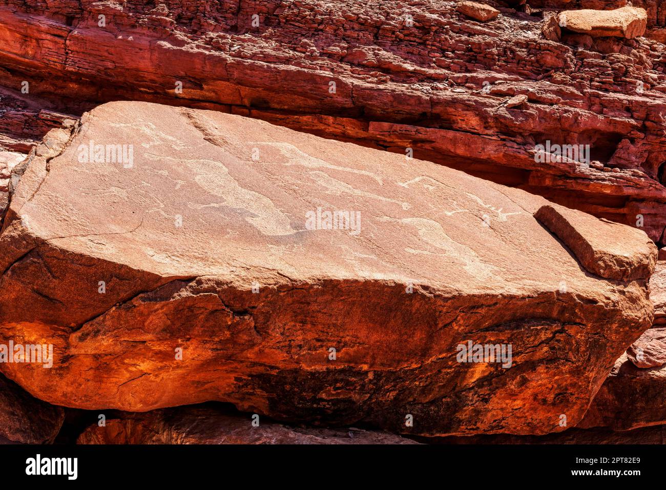 Rock engravings, prehistory, stone carvings, archaeology, Twyfelfontein ...
